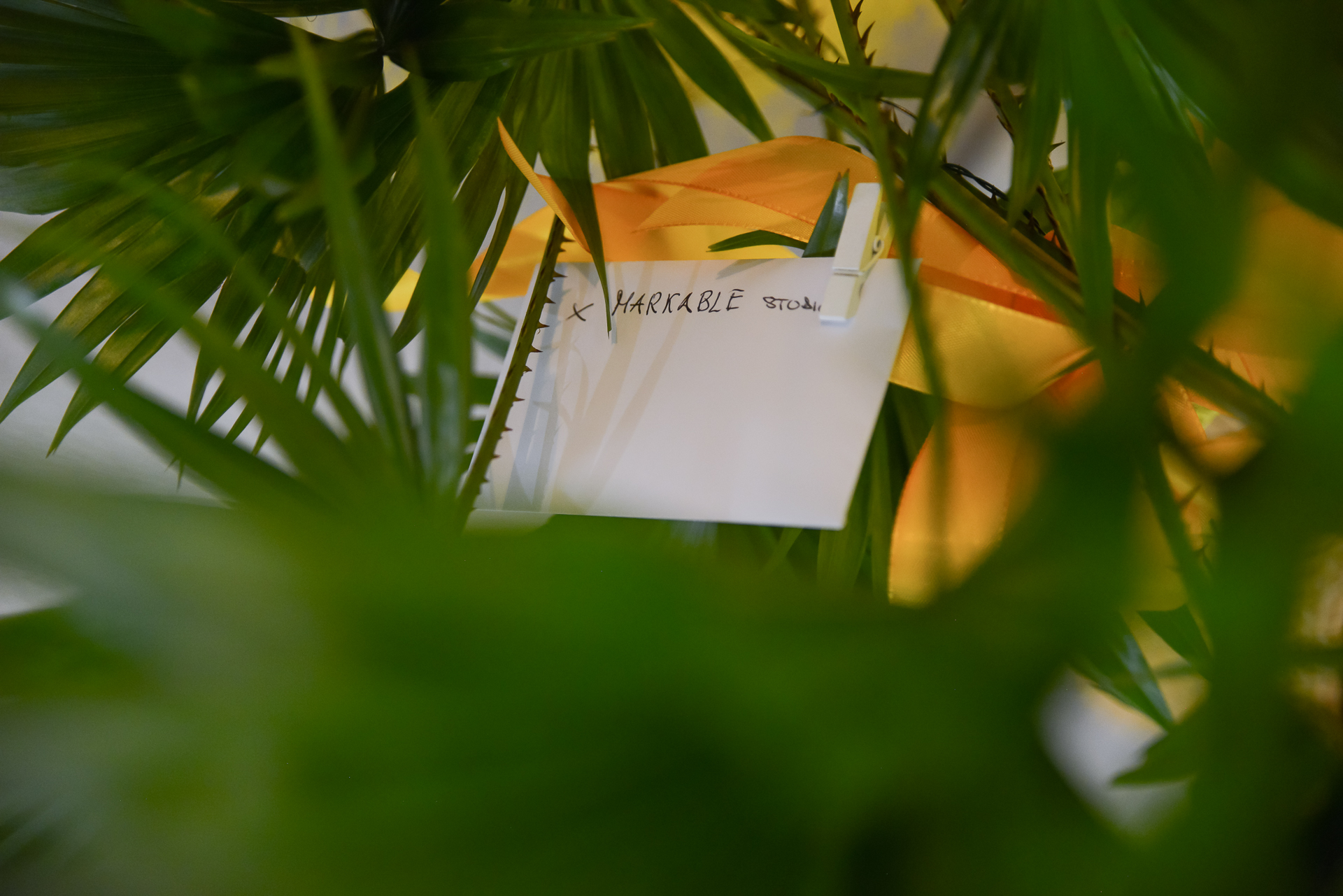 Opening Party - Markable Studio